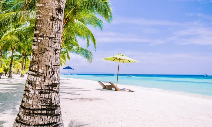 Complete Guide to Panglao Island - Byajayro